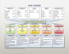 Accurate TI-RADS Calculator for Thyroid Nodule Assessment on USG