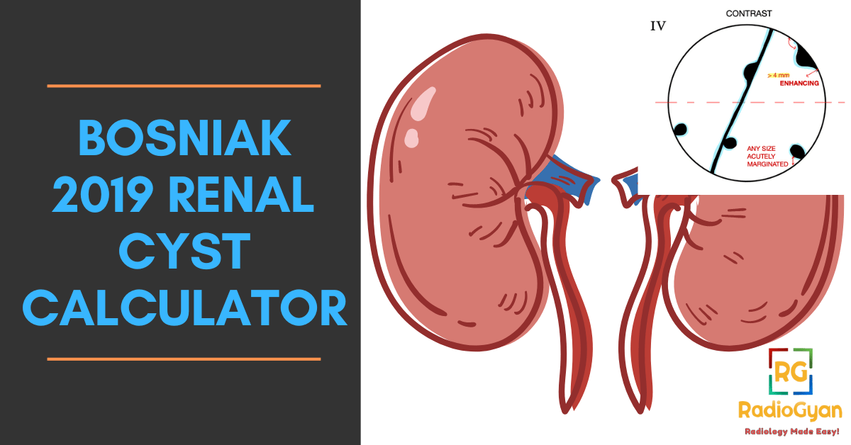 Bosniak Classification [2019] Cystic Renal Masses Calculator (CT and MRI)