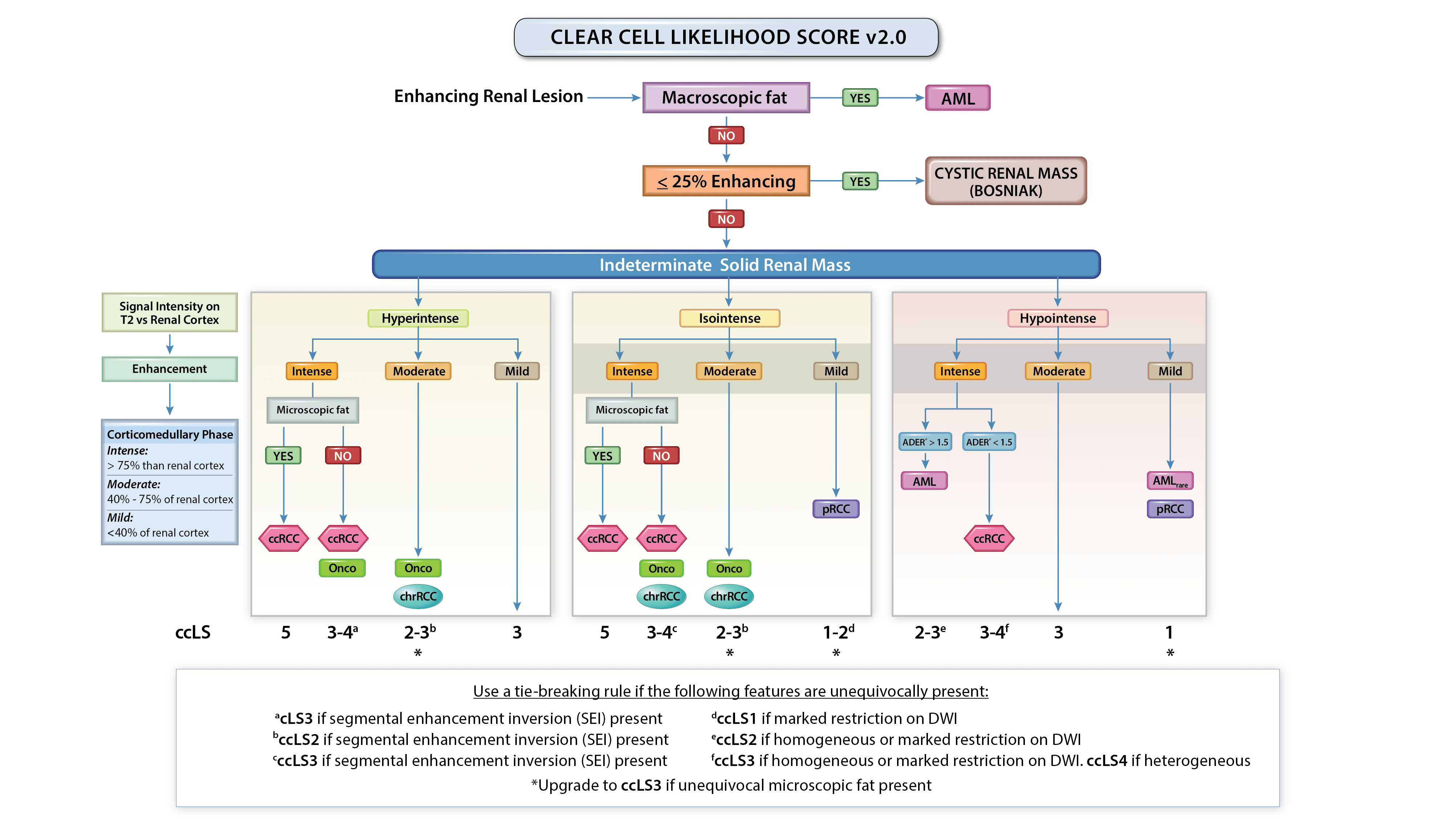 ccLS (Clear Cell Likelihood Score) Calculator For Solid Renal Masses on MRI